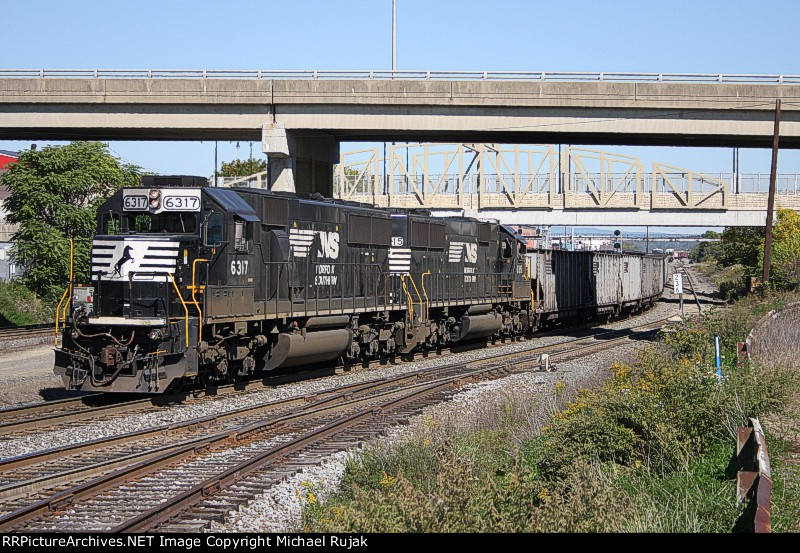 NS 6317